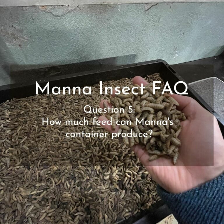 FAQ: How much feed can Manna's container produce? - Manna Insect