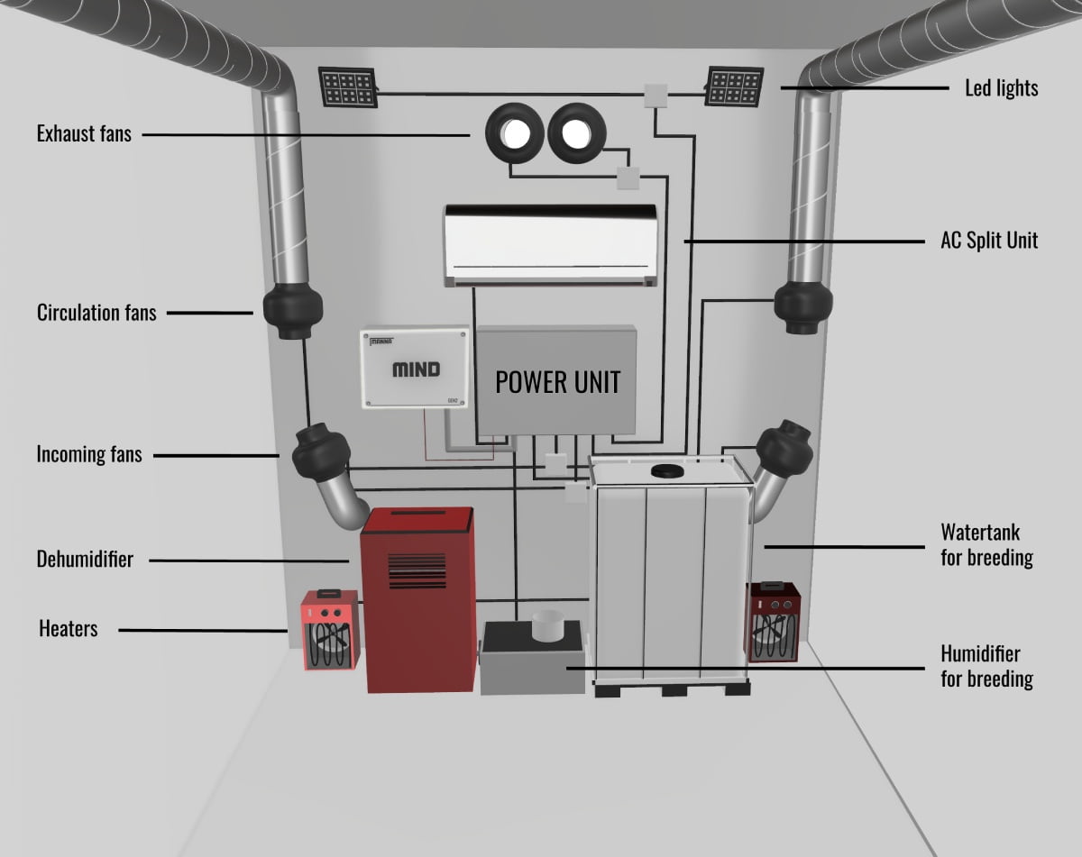 Maximize yield in controlled BSF farming modules