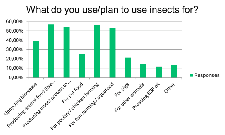 Insect Industry Survey 2024 results part 1