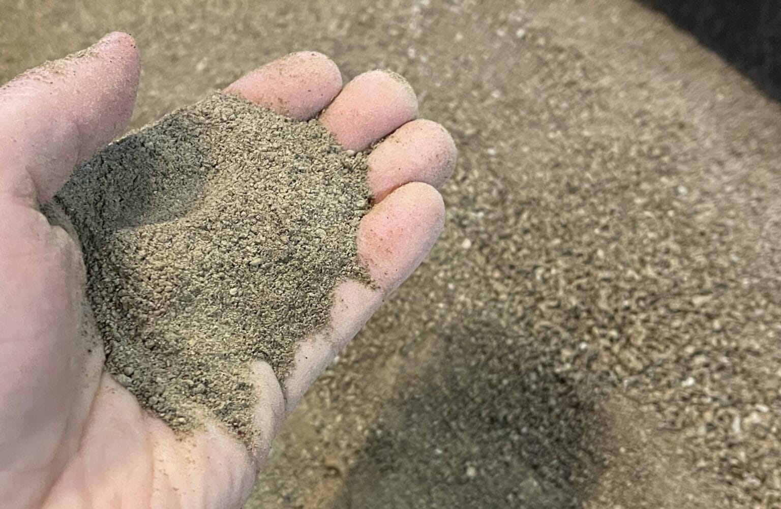 Using insect frass as fertilizer: Best practices and application